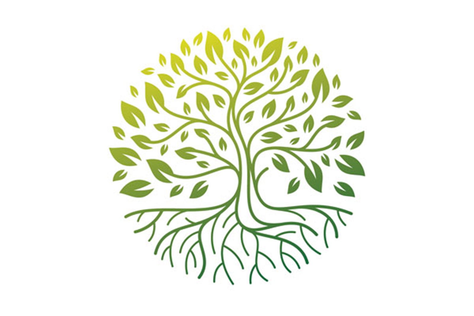 BACP - British Association for Counselling & Psychotherapy