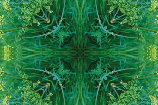 BACP - British Association for Counselling & Psychotherapy