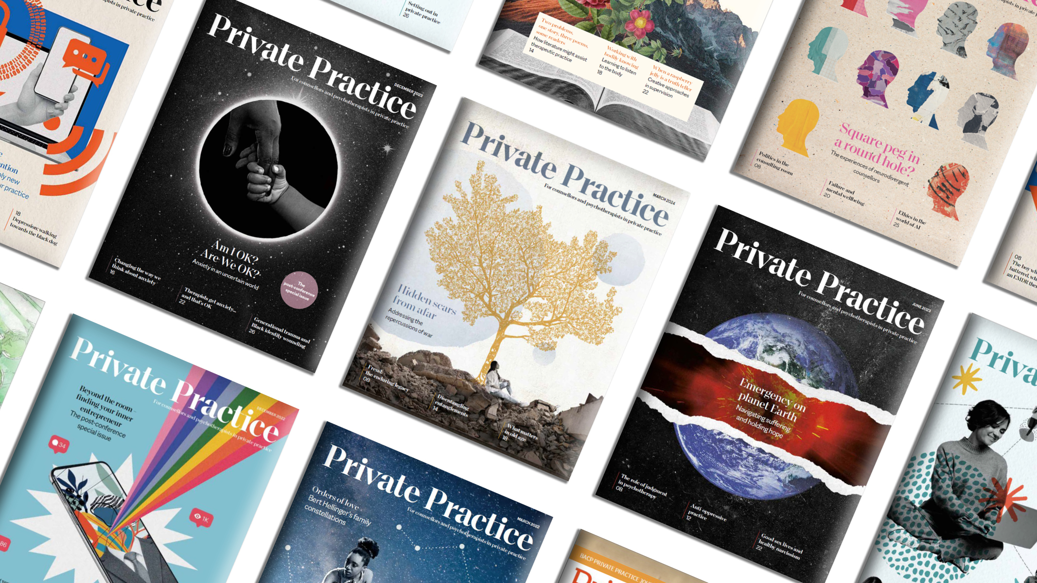 Private Practice journal